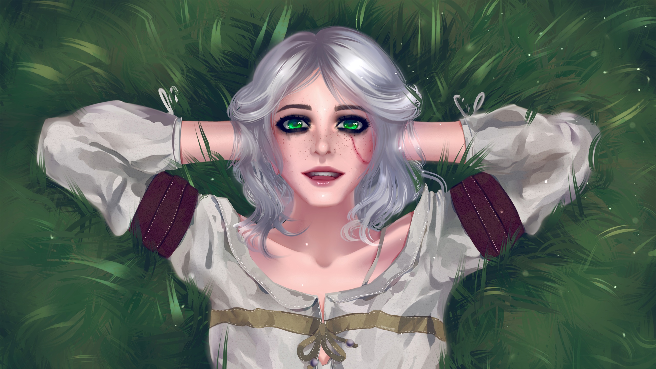 Download Ciri (The Witcher) Video Game The Witcher HD Wallpaper