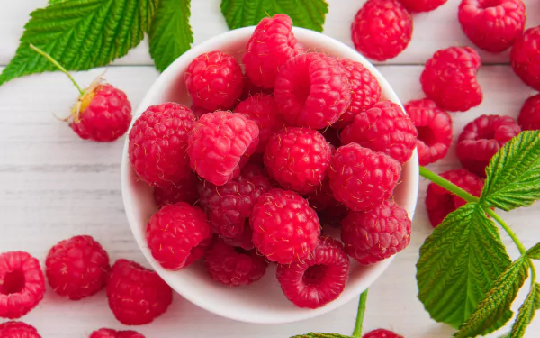 Download Berry Fruit Raspberry Still Life Food Waffle 4k Ultra HD Wallpaper