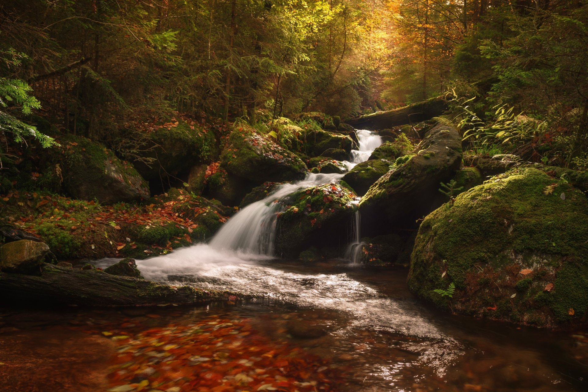 Download Czech Republic Nature Stream 4k Ultra HD Wallpaper