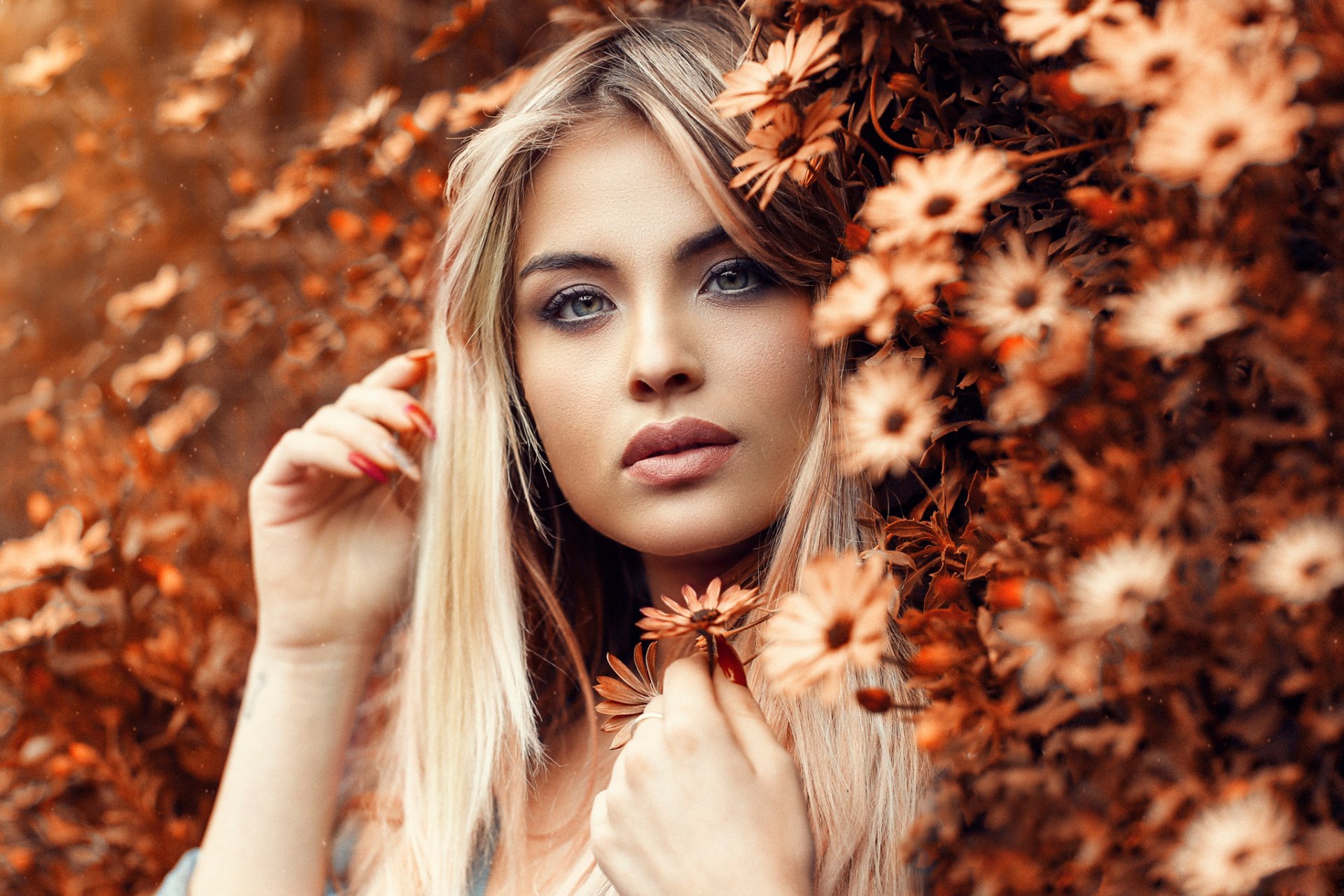 Download Stare Woman Face HD Wallpaper by Alessandro Di Cicco ...