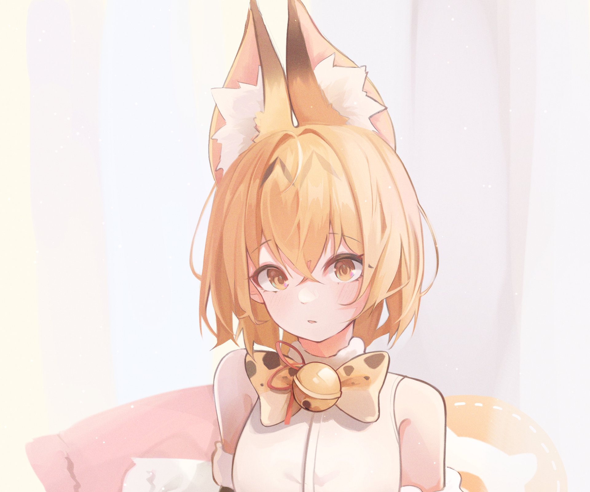 Download Animal Ears Serval (Kemono Friends) Anime Kemono Friends HD ...