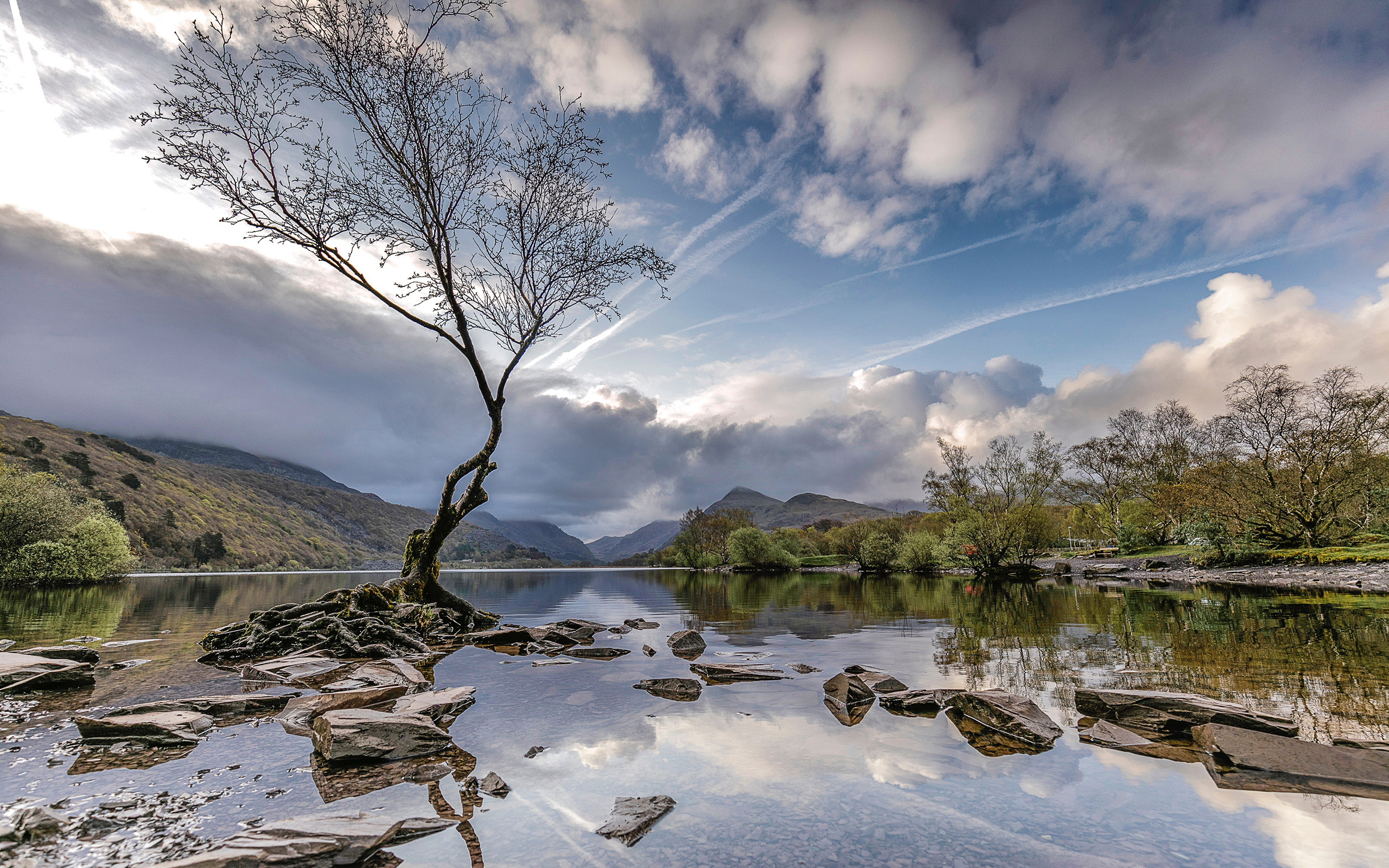 Download River Water Cloud Dead Tree United Kingdom Wales Nature Tree ...