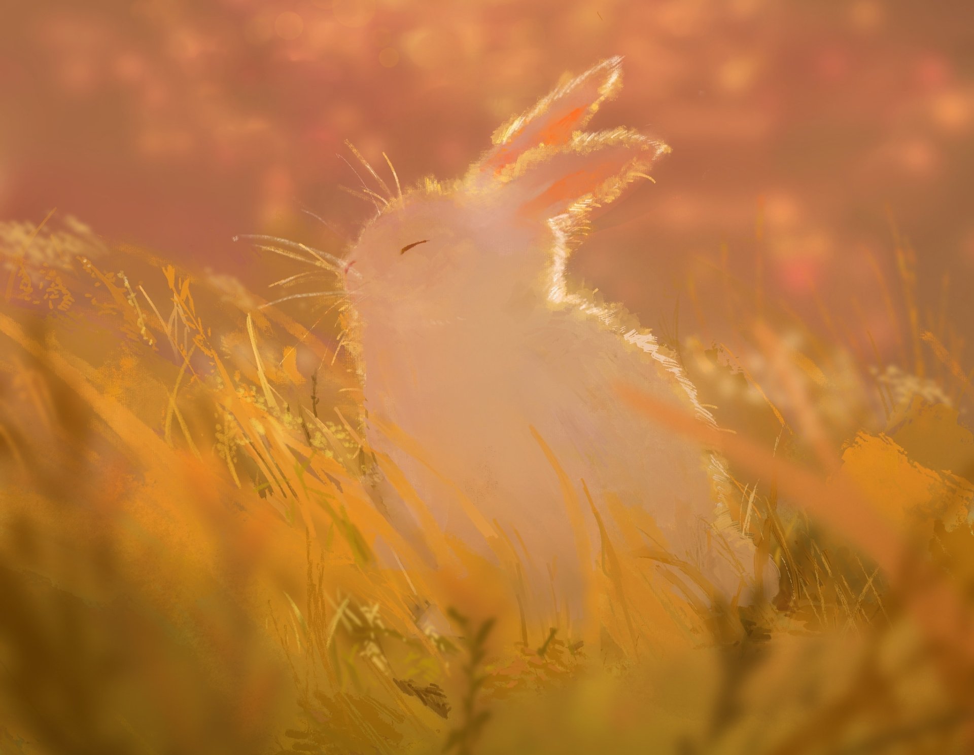 Download Animal Rabbit HD Wallpaper