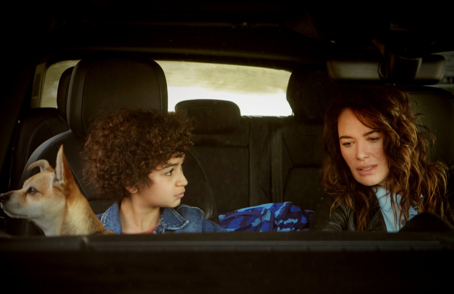 9 Bullets HD Wallpaper