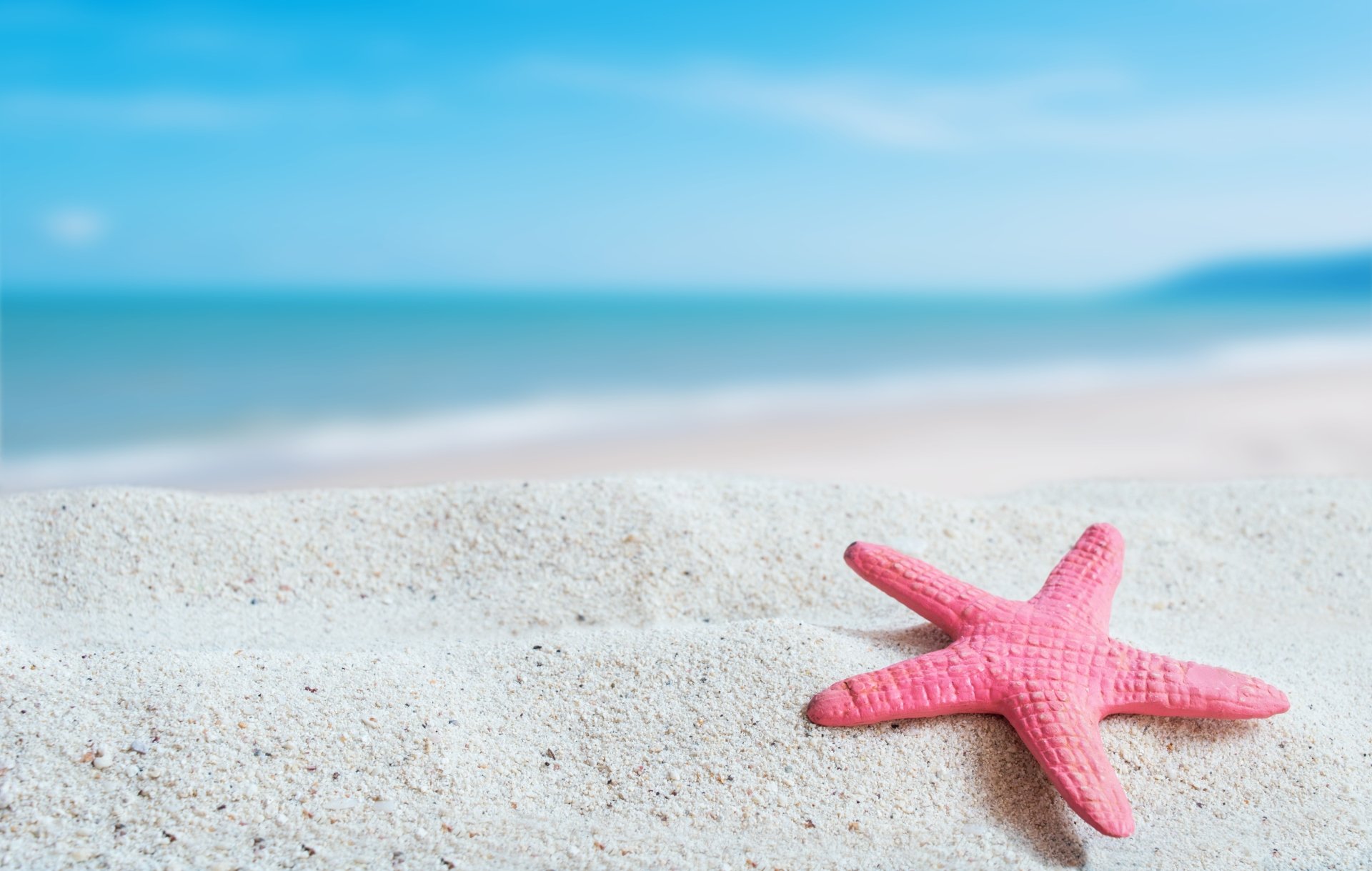 Download Sand Animal Starfish 4k Ultra HD Wallpaper