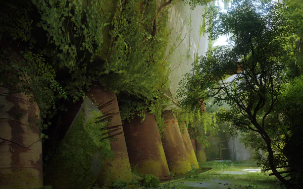 [100+] Stray Wallpapers