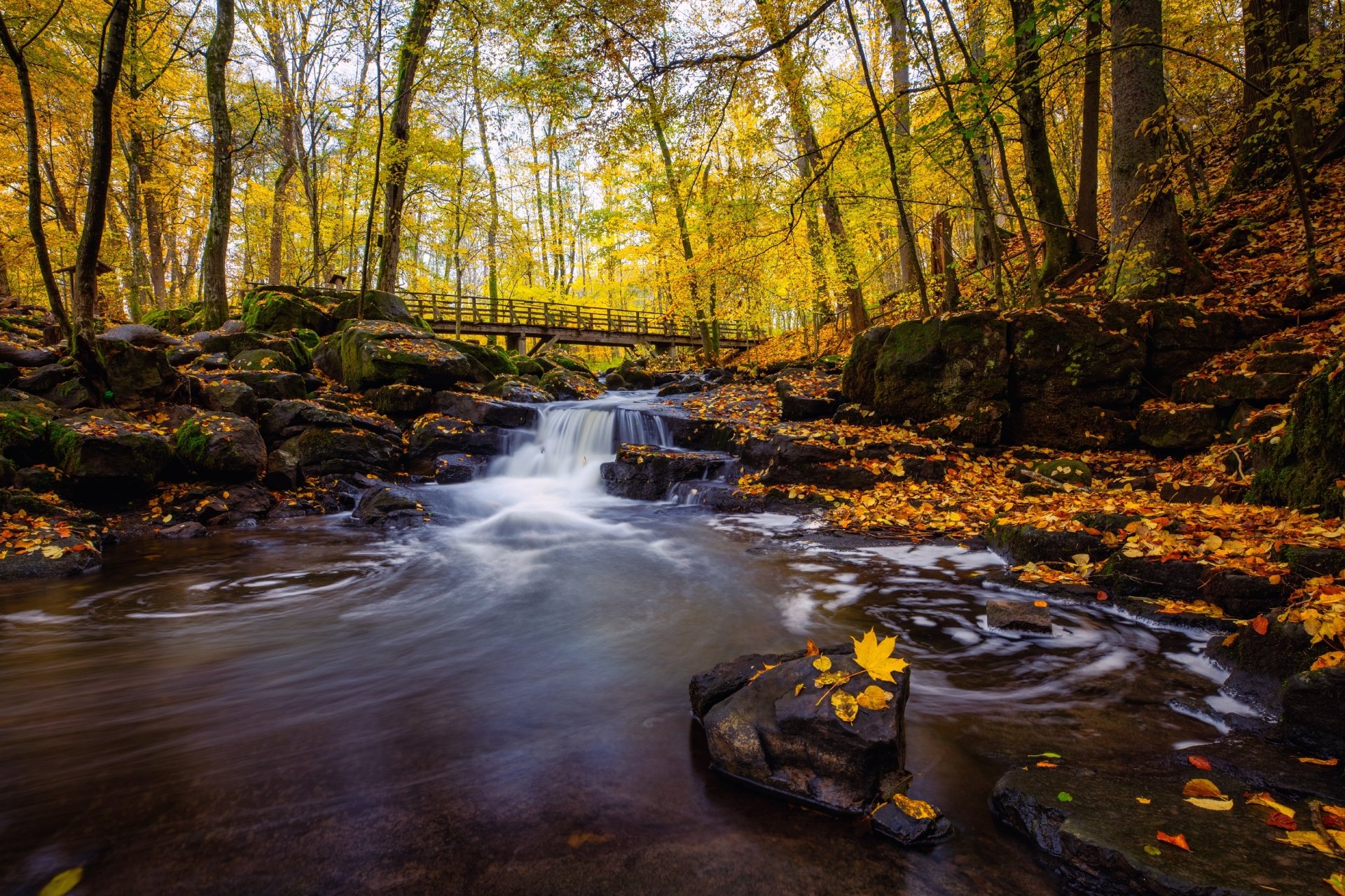 Download Nature Stream HD Wallpaper | 3000x2000 | Wallpaper Abyss