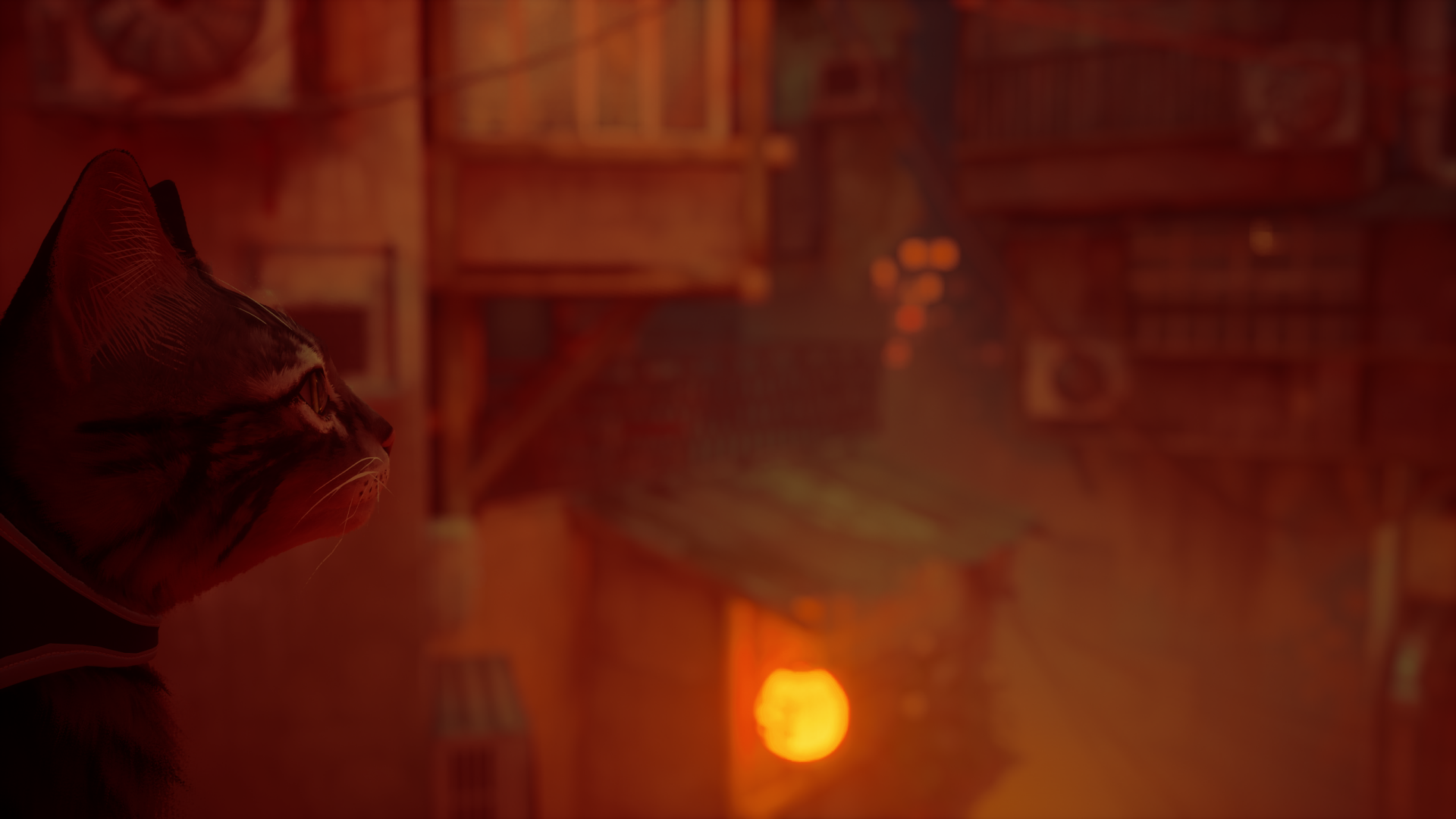 Download Video Game Stray HD Wallpaper | 2560x1440 | Wallpaper Abyss