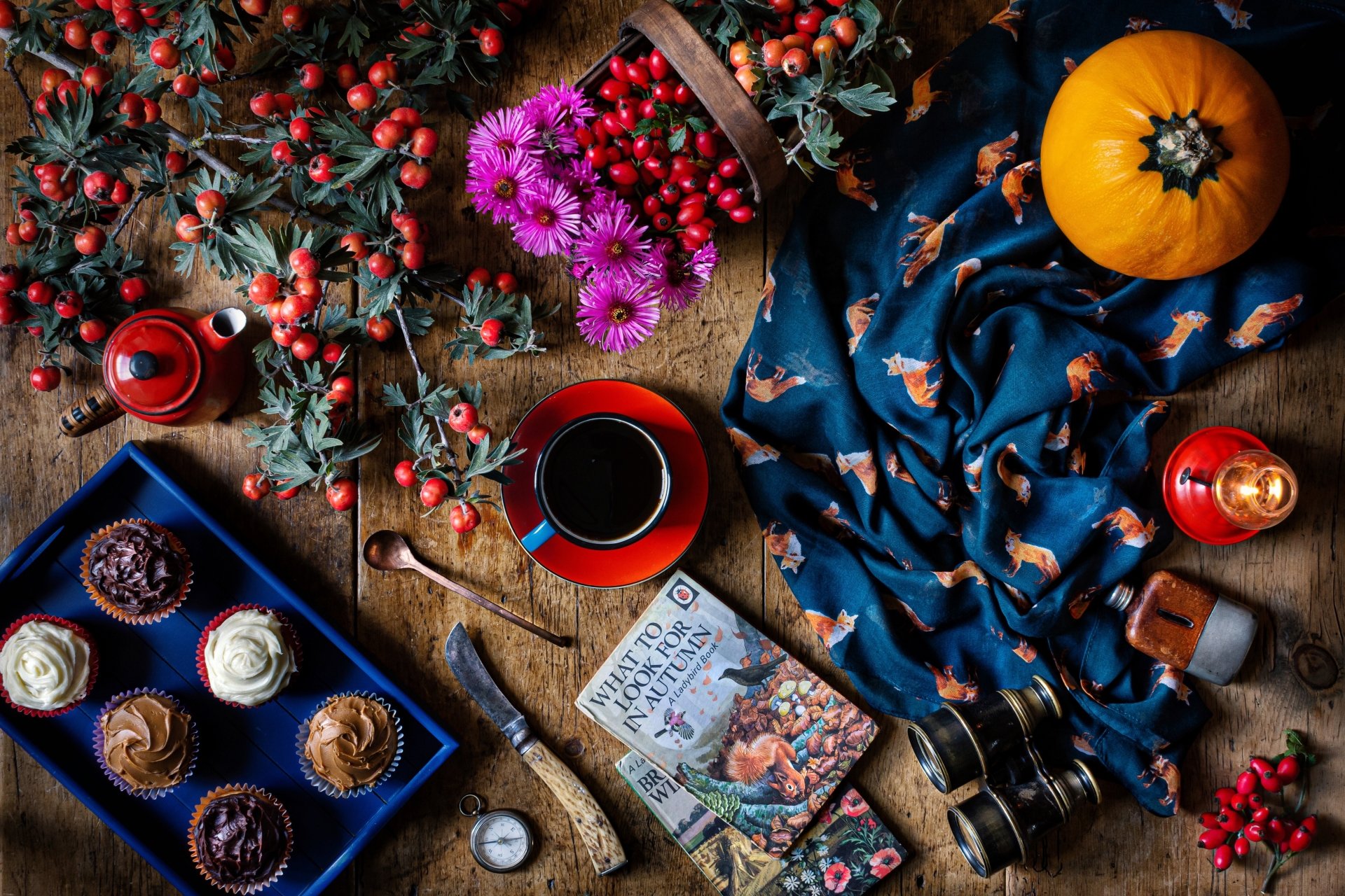 Download Photography Still Life 4k Ultra HD Wallpaper