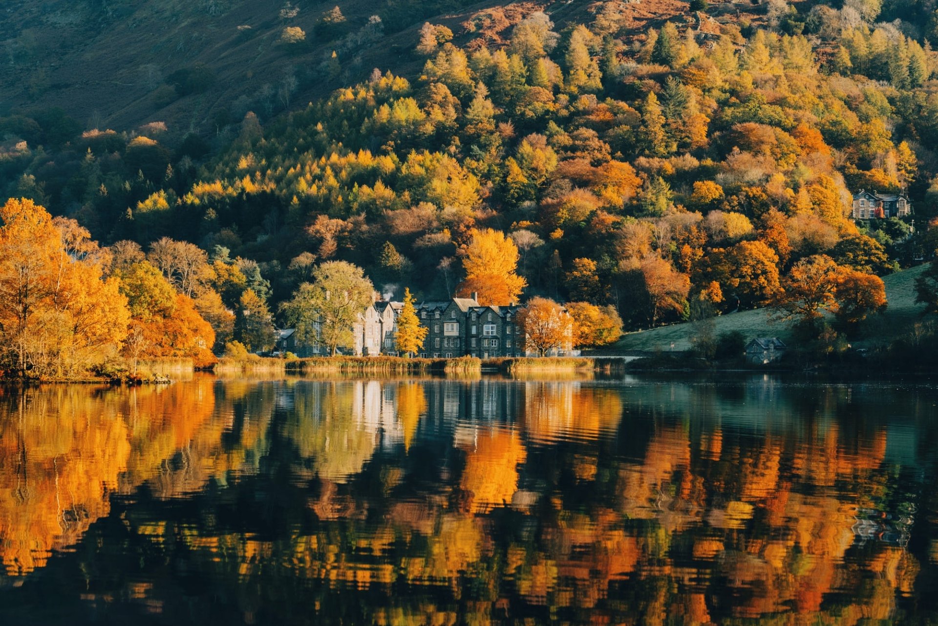 Stunning Fall Reflection HD Wallpaper: Nature’s Golden Mirror ...