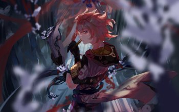 爆砕トマト At Alpha Coders