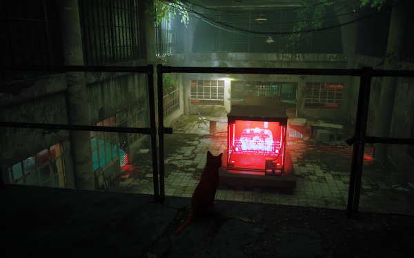 Stray - Desktop Wallpapers, Phone Wallpaper, PFP, Gifs, and More!