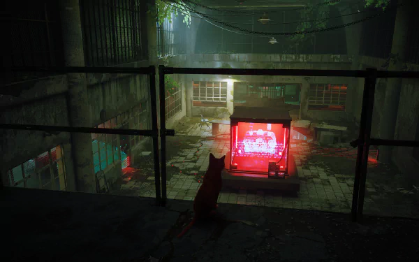 Stray Video Game HD Wallpaper