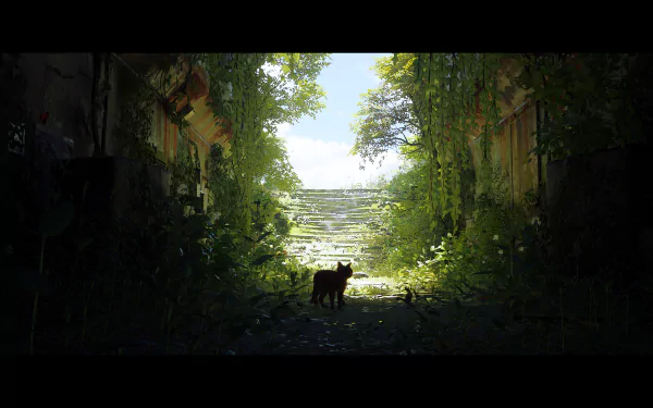 [110+] Stray Wallpapers