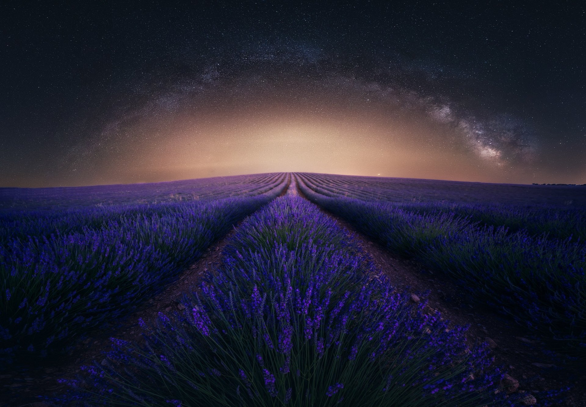 Lavender - Desktop Wallpapers, Phone Wallpaper, PFP, Gifs, and More!
