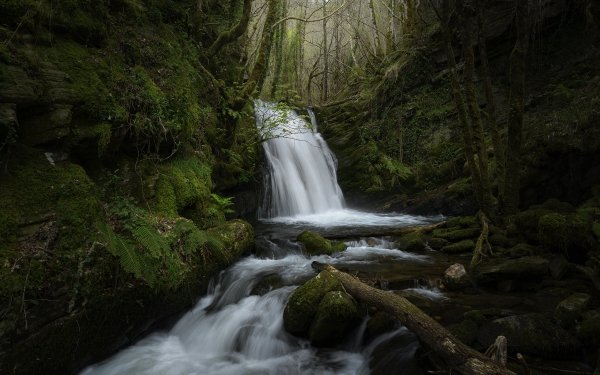 Waterfall - Desktop Wallpapers, Phone Wallpaper, PFP, Gifs, and More!