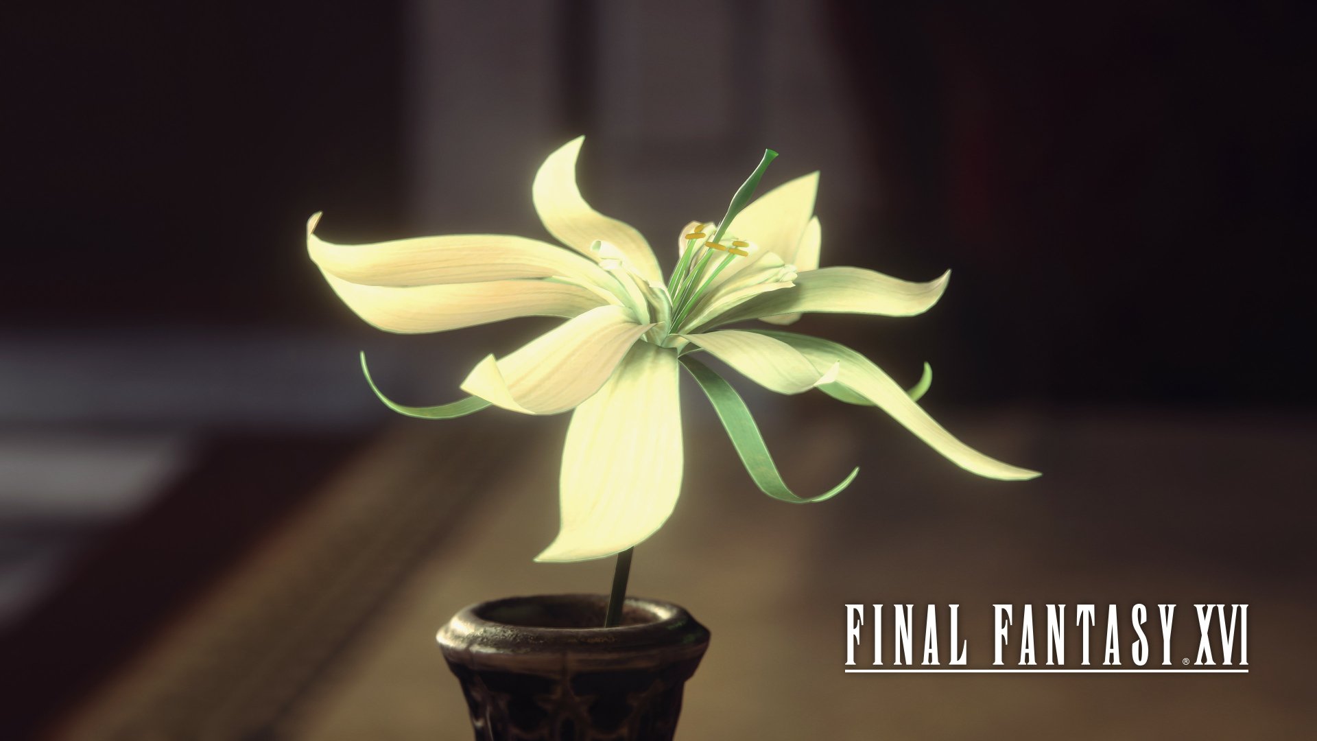 Download Flower Video Game Final Fantasy XVI 4k Ultra HD Wallpaper ...