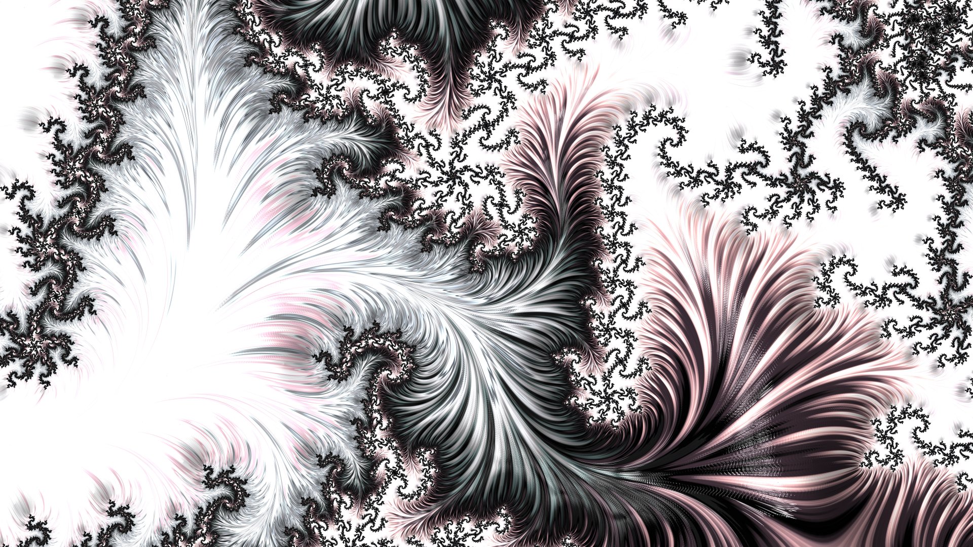 [130+] Black 8k Wallpapers