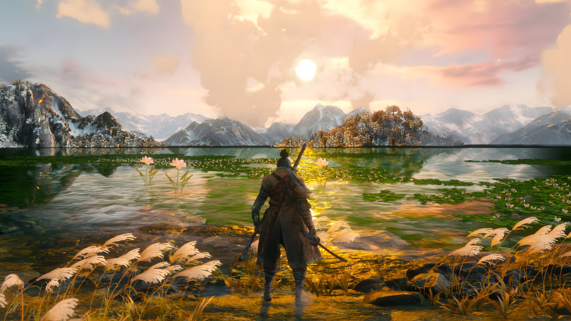 beauty of Ashina by Moinuddin Shaikh