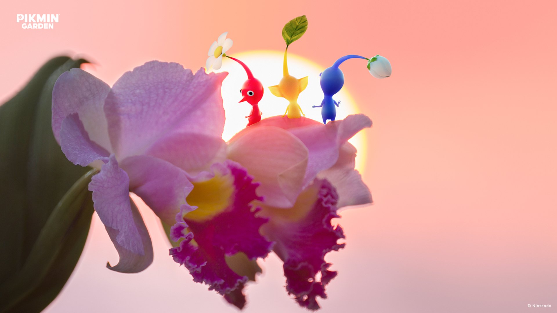 Download Pikmin 4 4k Ultra HD Wallpaper