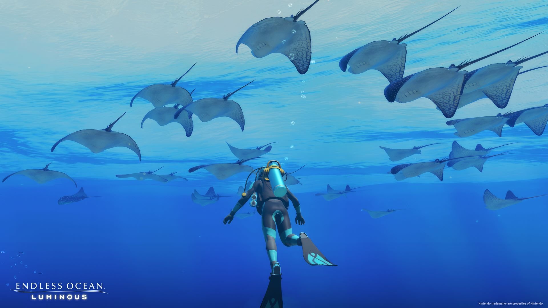 Download Endless Ocean HD Wallpaper