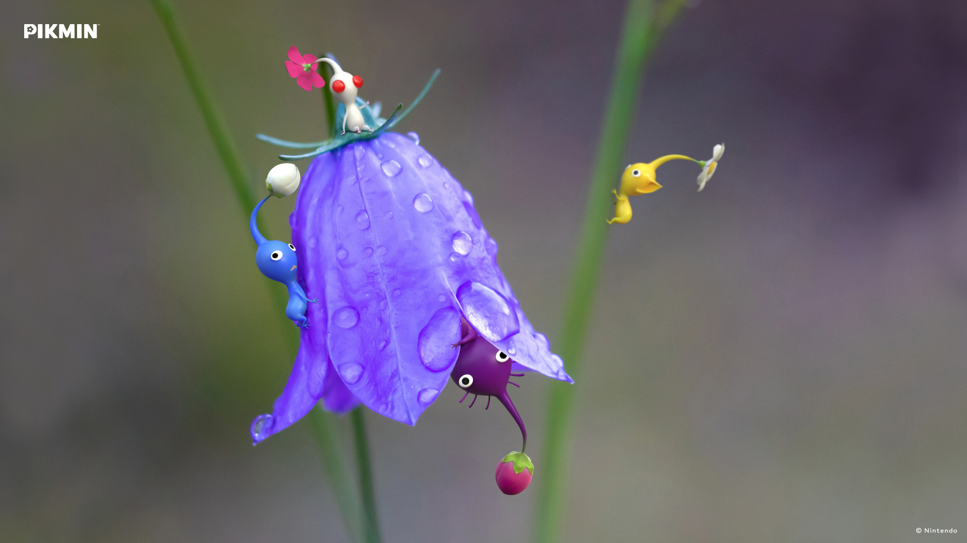 Download Pikmin 4 HD Wallpaper