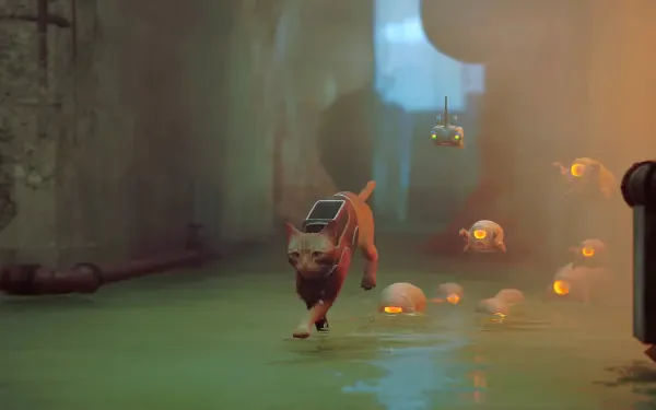 [110+] Stray Wallpapers