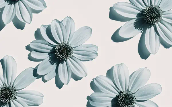 Flower Pattern Wallpapers