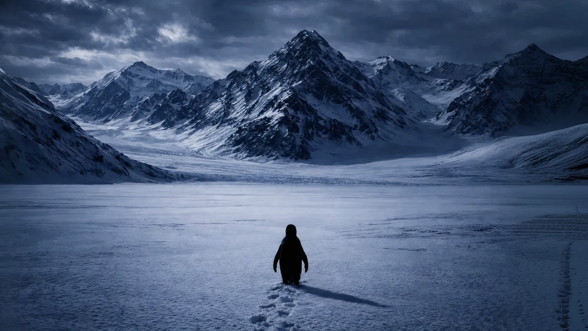 Solitary Penguin on the Snowy Summit — HD Wallpaper