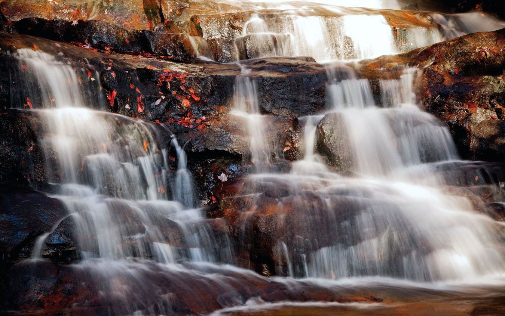 Download Water Leaf Nature Waterfall Wallpaper | 1680x1050 | Wallpaper ...