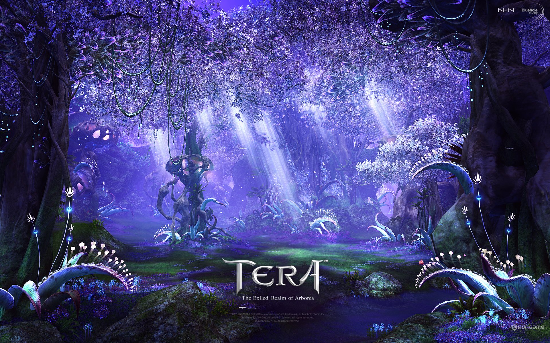 Download Video Game Tera HD Wallpaper