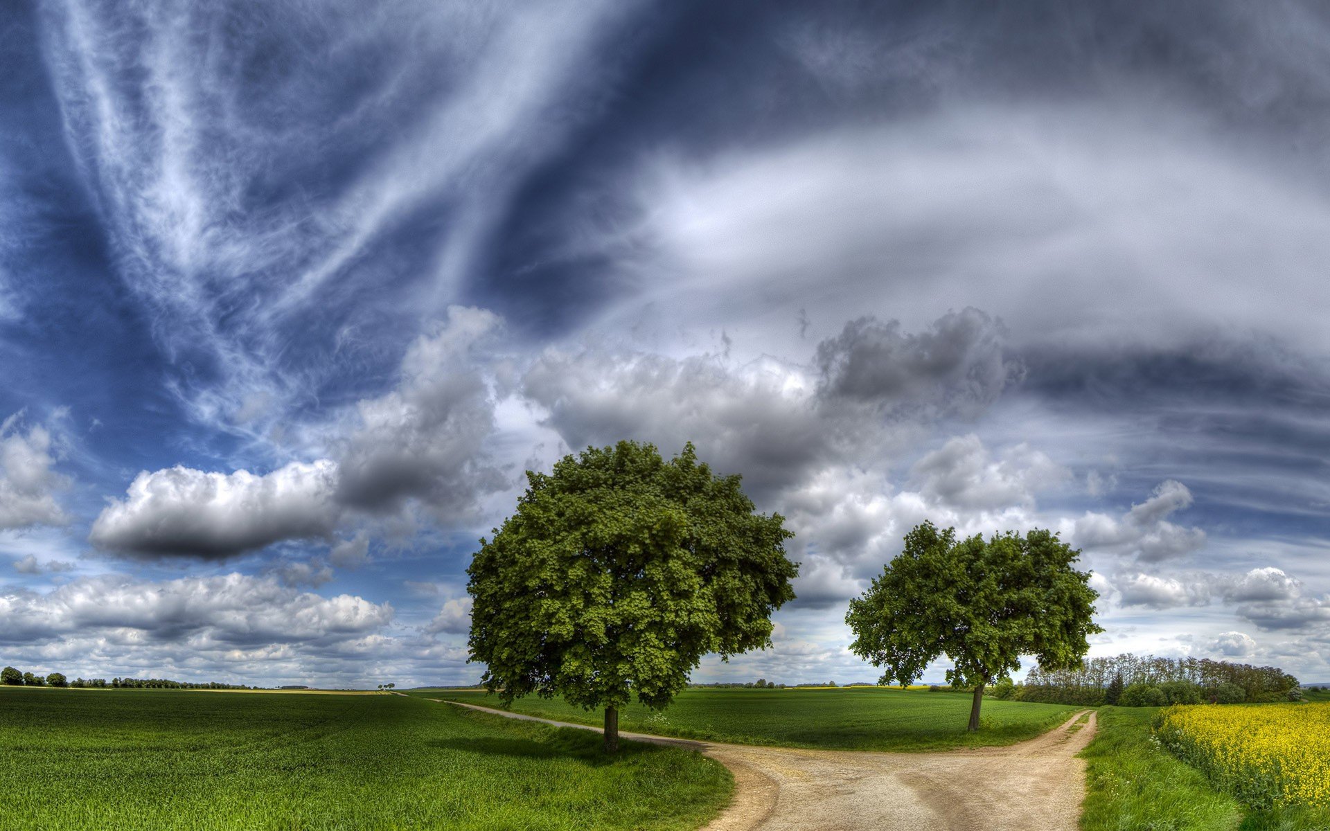 Download Nature Cloud Grass Road Path Sky Tree Landscape HD Wallpaper