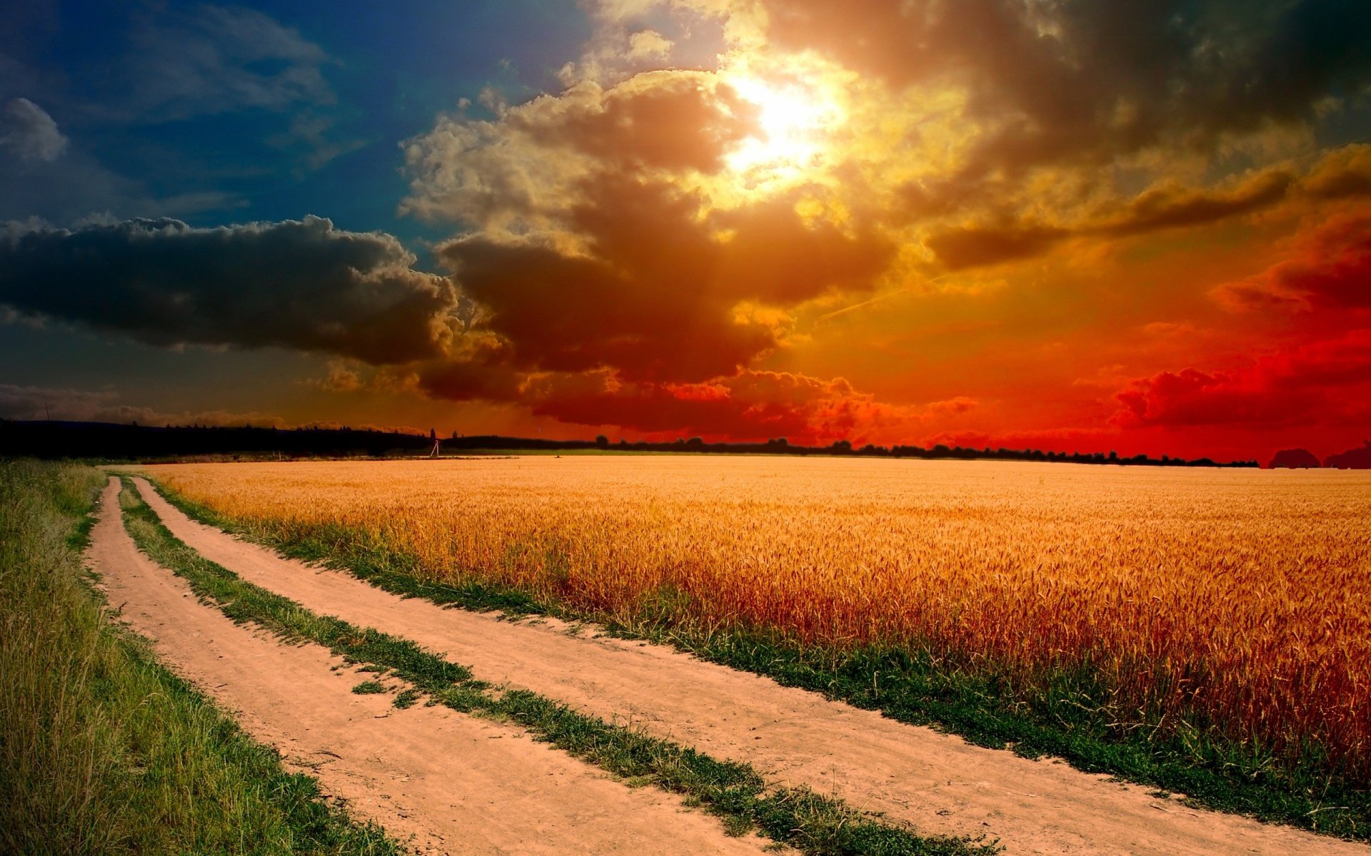 Golden Trail - 2K Sunset Wallpaper | Dusk Over Wheatfields - 2K Quad HD ...