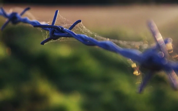 Download Razor Wire Barbed Wire Barb Wire Combat Tank Armored Vehicle Army Tank Vehicle Military ...