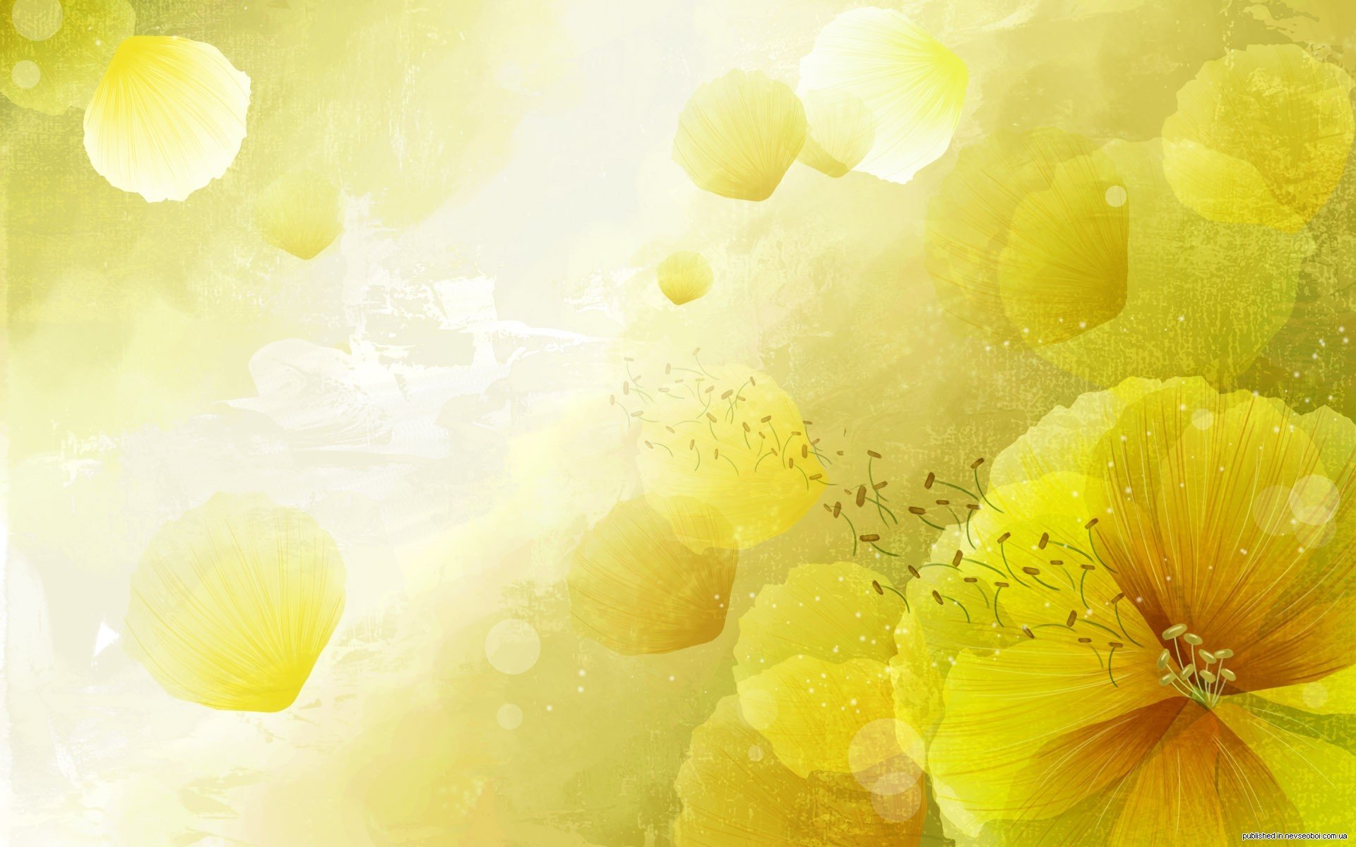 Radiant Abstract Bloom – Artistic HD Wallpaper Delight | 1920x1200 ...