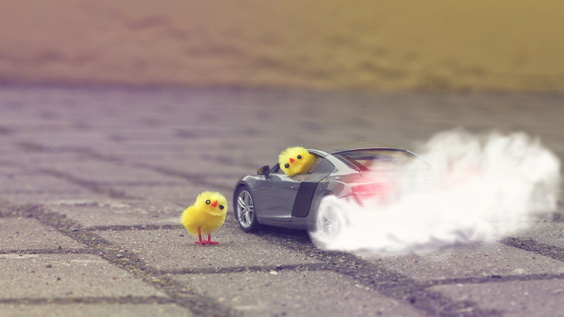 Funny Chick Car Adventures - HD Wallpaper