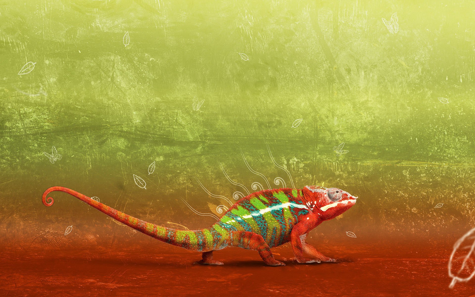 Download Colors Orange (Color) Green Chameleon Animal Lizard HD Wallpaper
