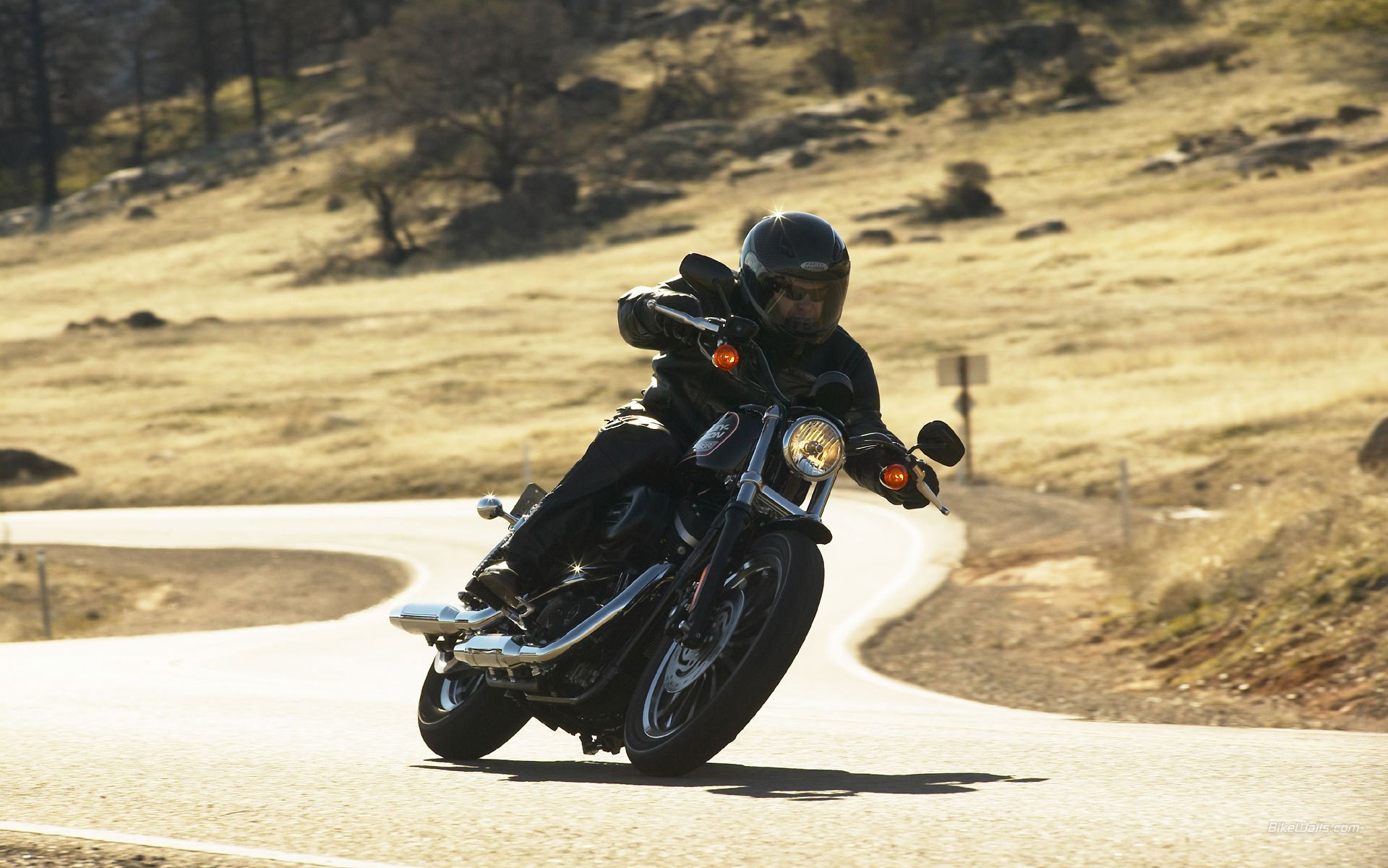 Download Vehicle Harley-Davidson HD Wallpaper