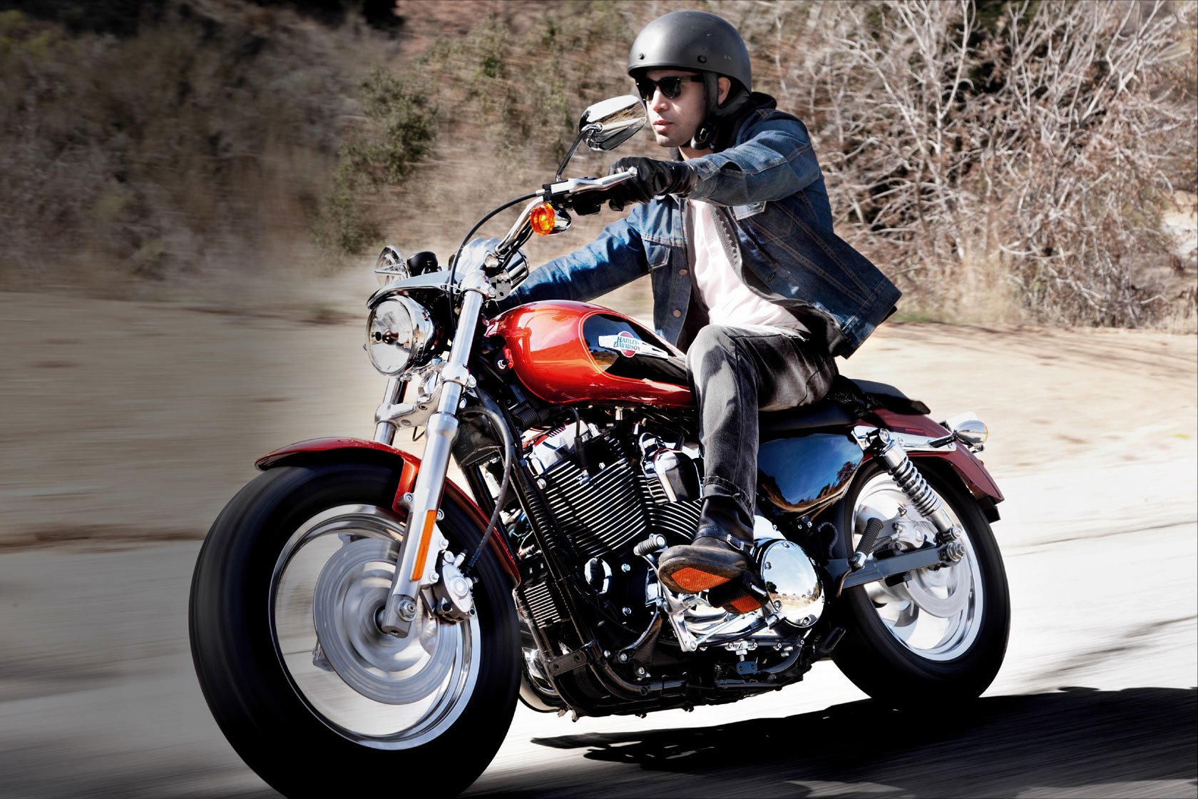 Harley-Davidson Ride: Bold Freedom on the Open Road HD Wallpaper