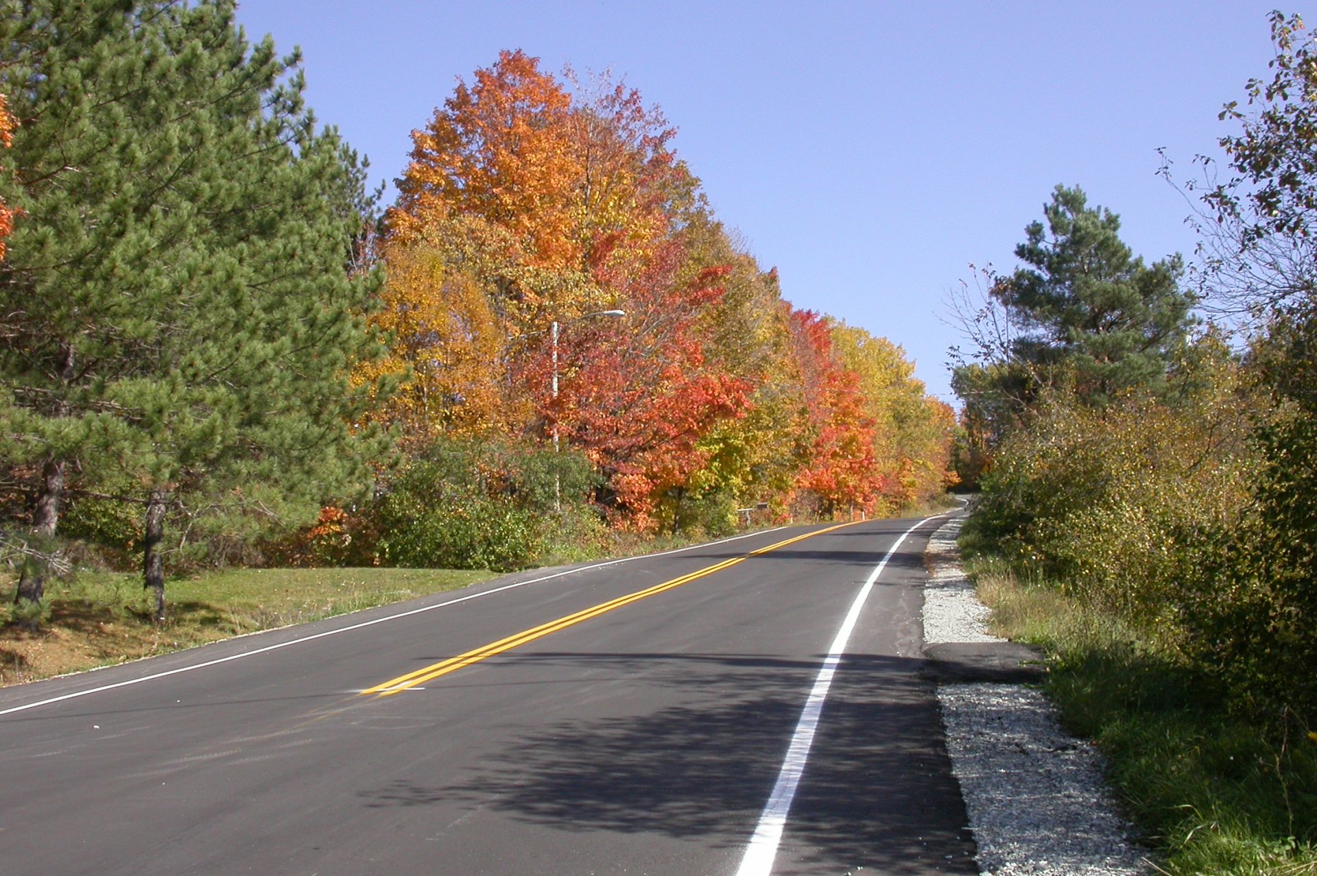 Roadside Fall Wallpaper