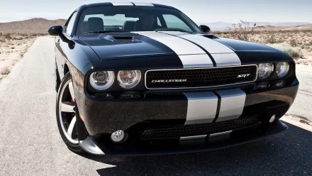 Dodge Challenger - Desktop Wallpapers, Phone Wallpaper, PFP, Gifs, and ...