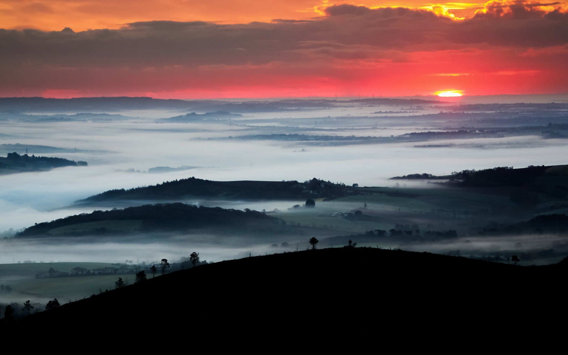 Download Nature Fog HD Wallpaper