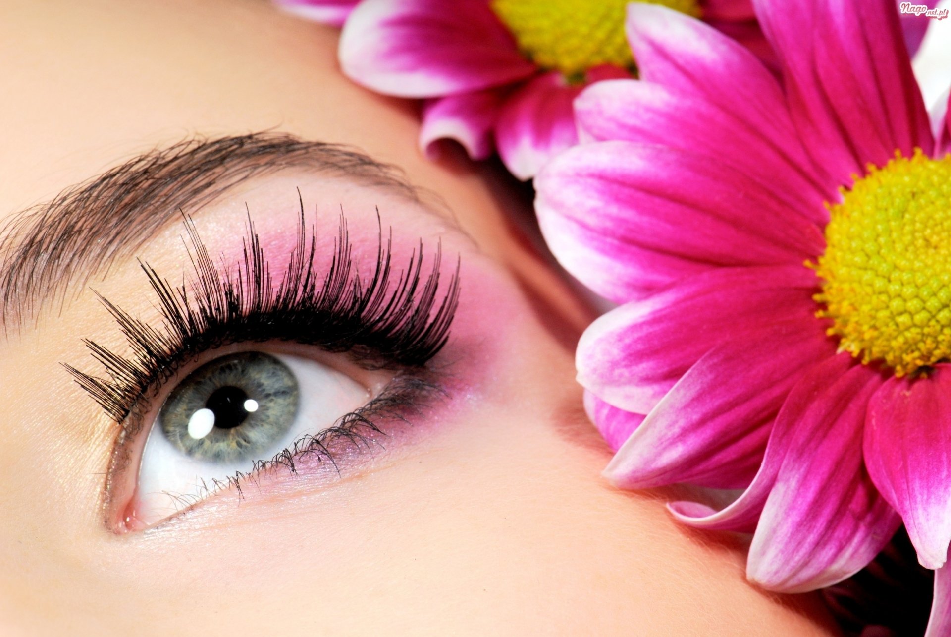 Radiant Woman's Eye with Vibrant Pink Flowers – HD Wallpaper ...