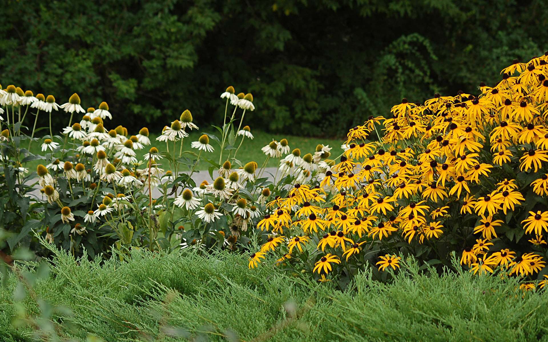 Moril-aménagement paysager by Moril