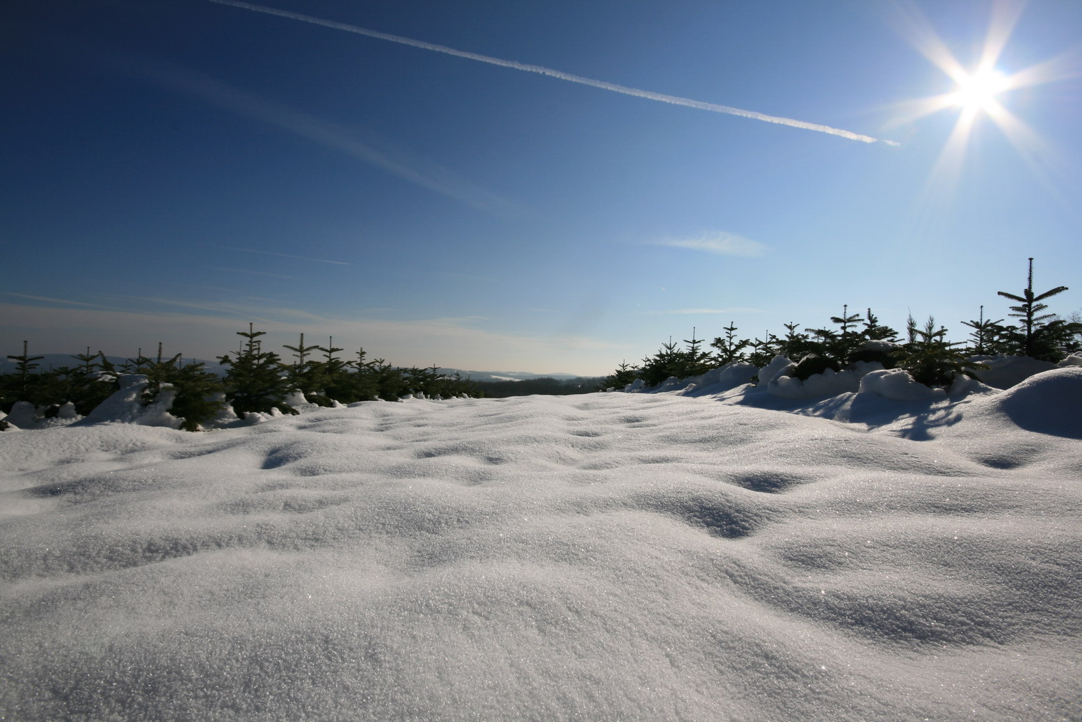 Download Nature Winter Wallpaper