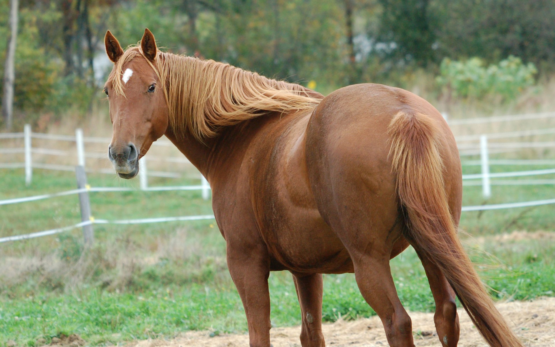 Moril-looking back by Moril