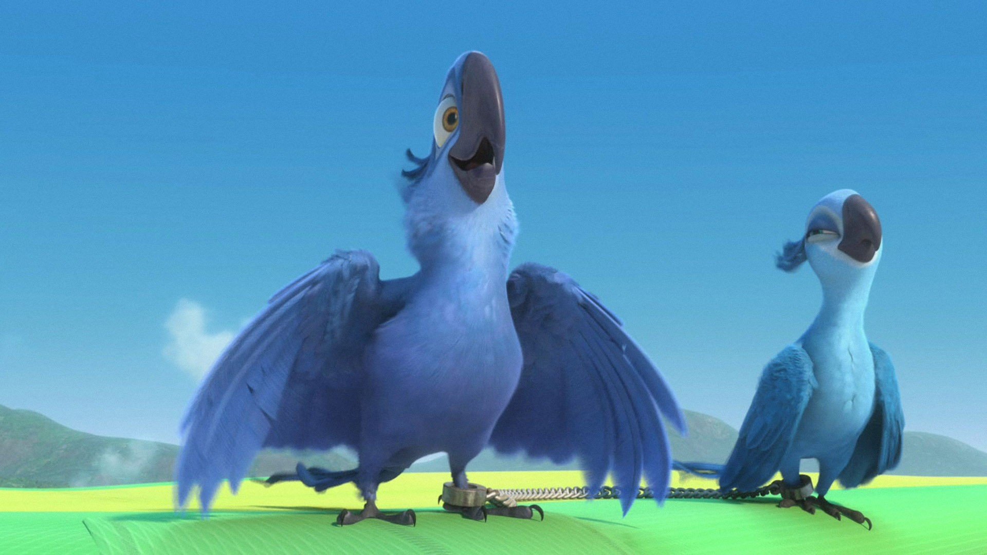 Animated Rio Adventure - Download for Free!