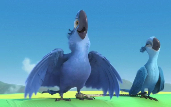 Blue Birds Wallpapers