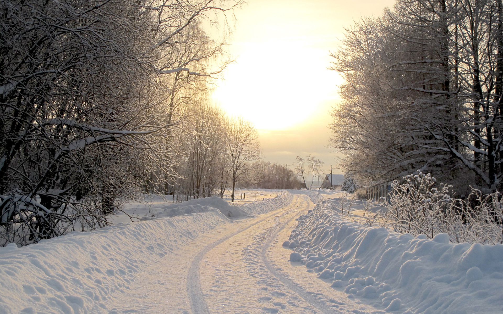 Winter HD Wallpaper | Background Image | 1920x1200 | ID:339331 ...
