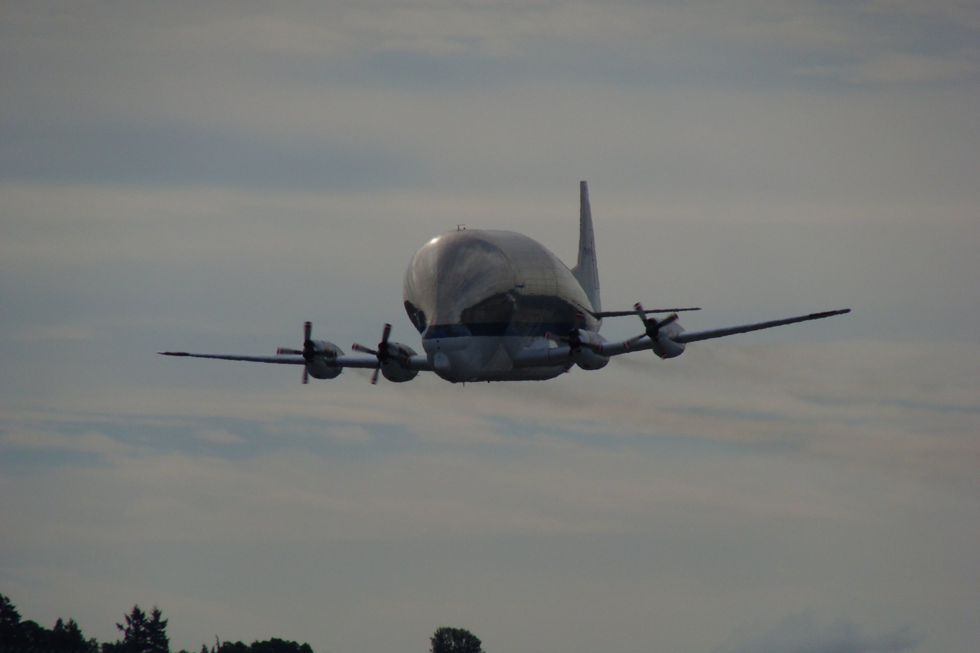 Download Grey Airplane Vehicle Aircraft HD Wallpaper